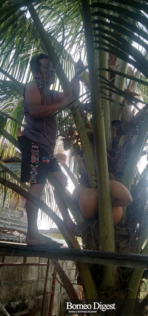 Bahar minuman tradisional terkenal Sabah - The Borneo Digest